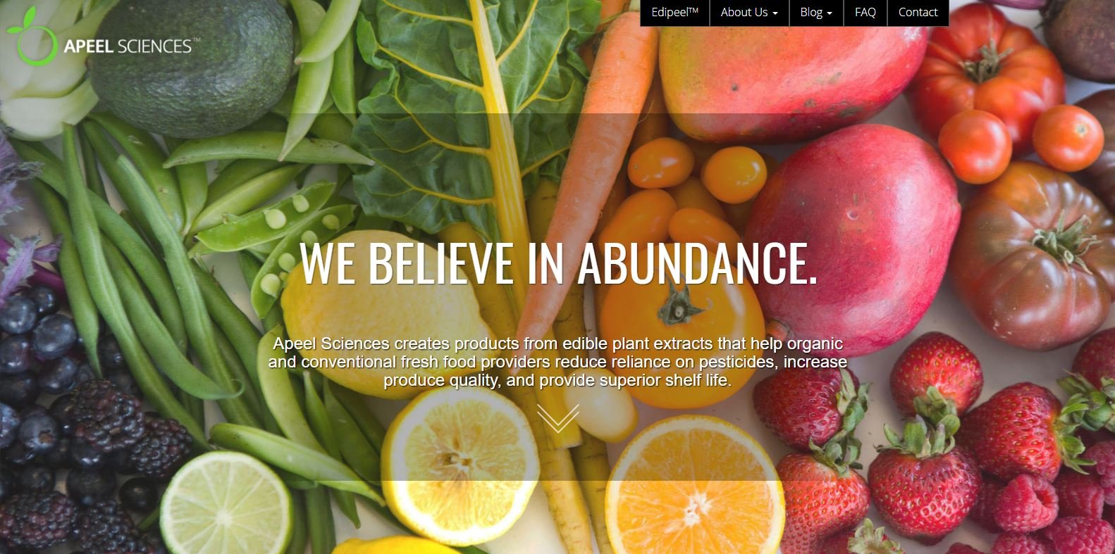 Food-Tech Startups & How Digital Marketing Comes into Play | Ranky